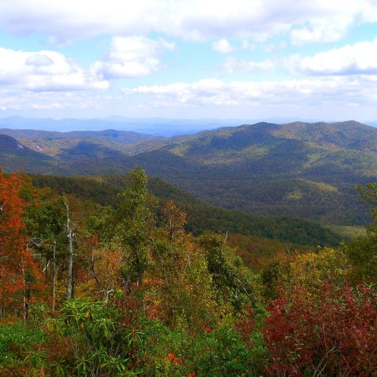 Fall Harvest & Deep Colors - Asia Suler