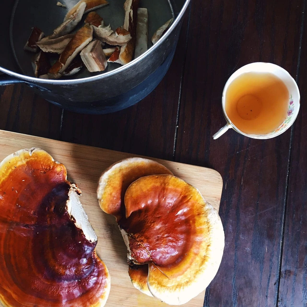 Reishi: A Psychedelic of the Unseen - Asia Suler