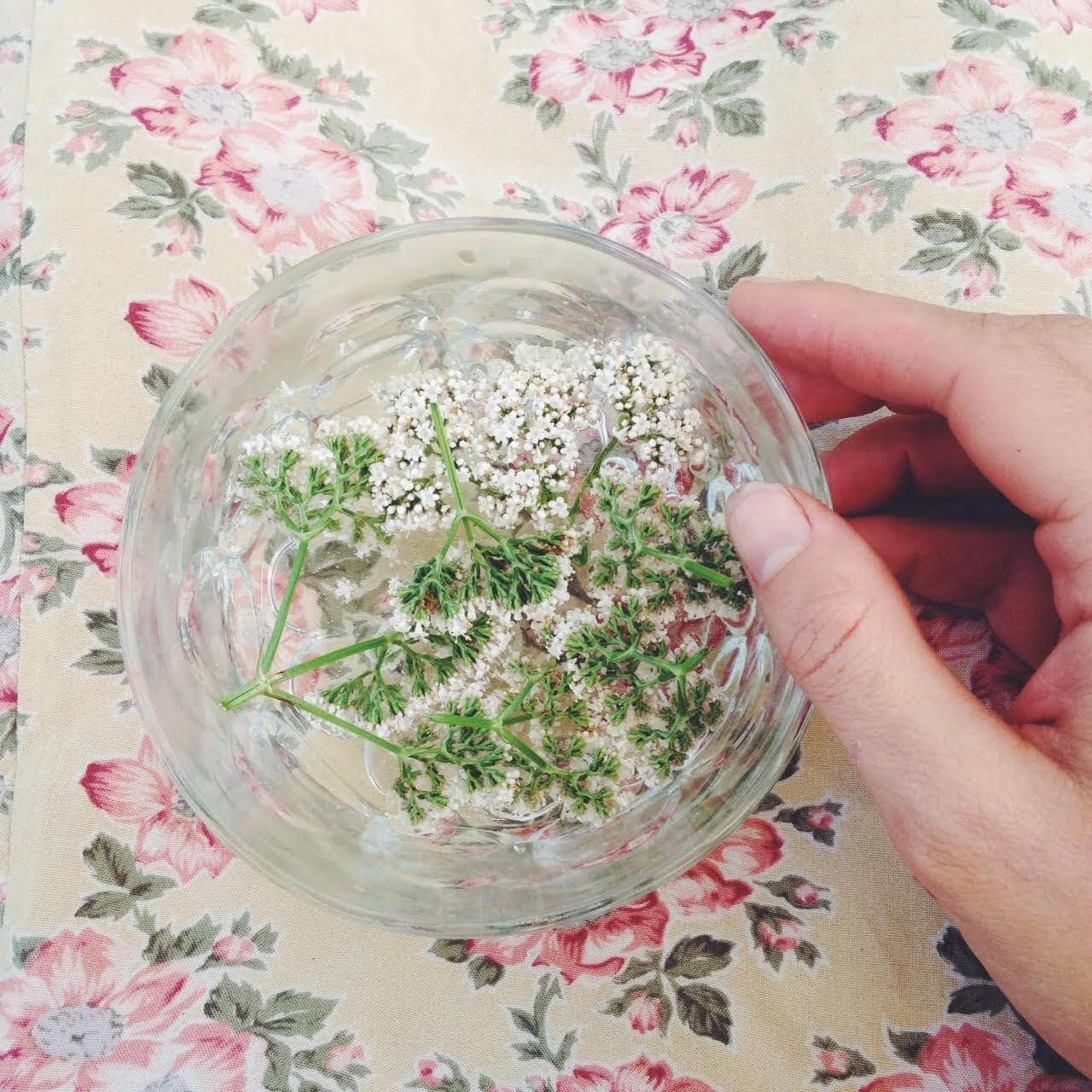 How to Make a Flower Essence - Asia Suler