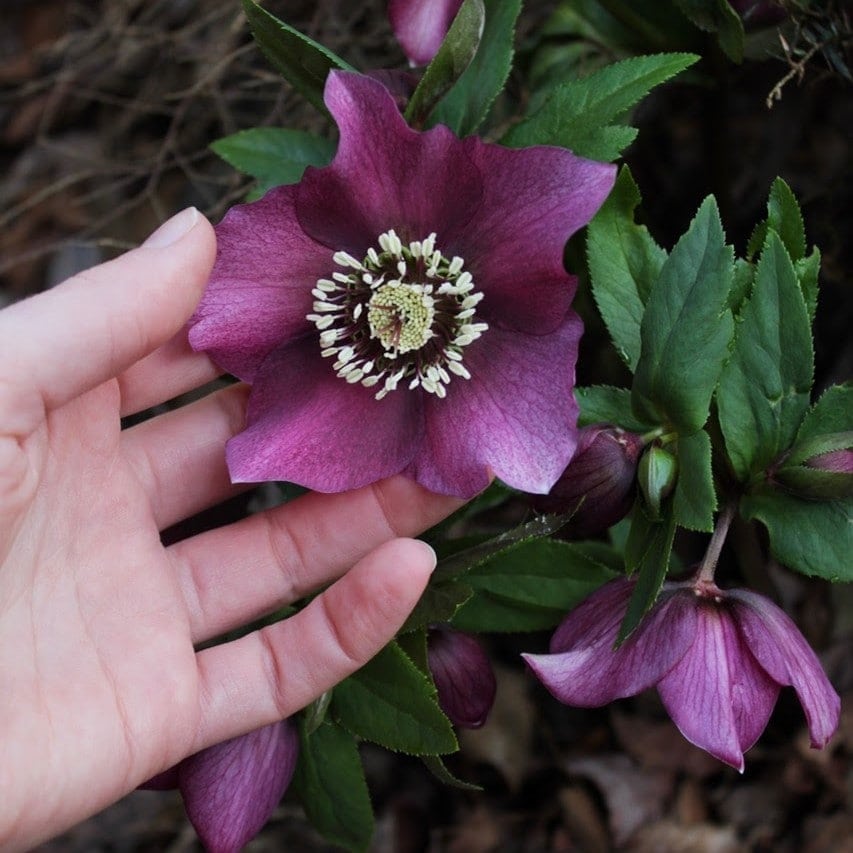 How to Become Creatively Unstoppable - Asia Suler