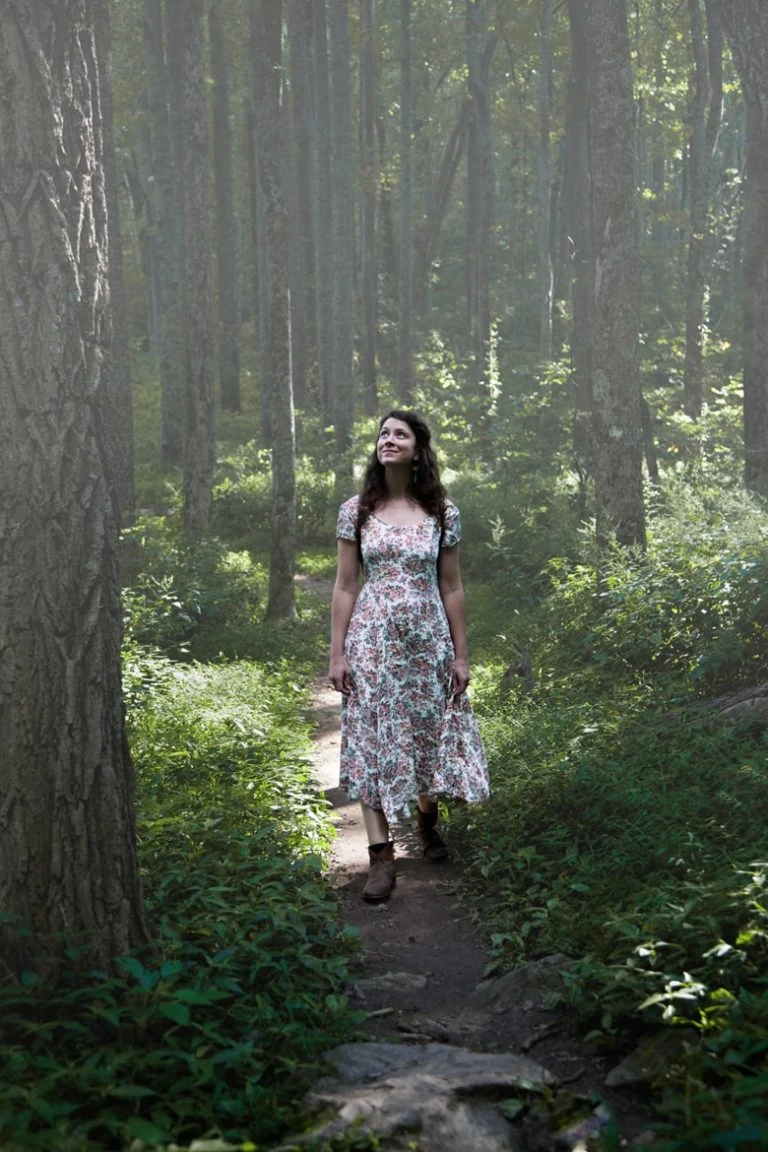 Intuitive Plant Medicine - Monthly Subscription (Special extended ...