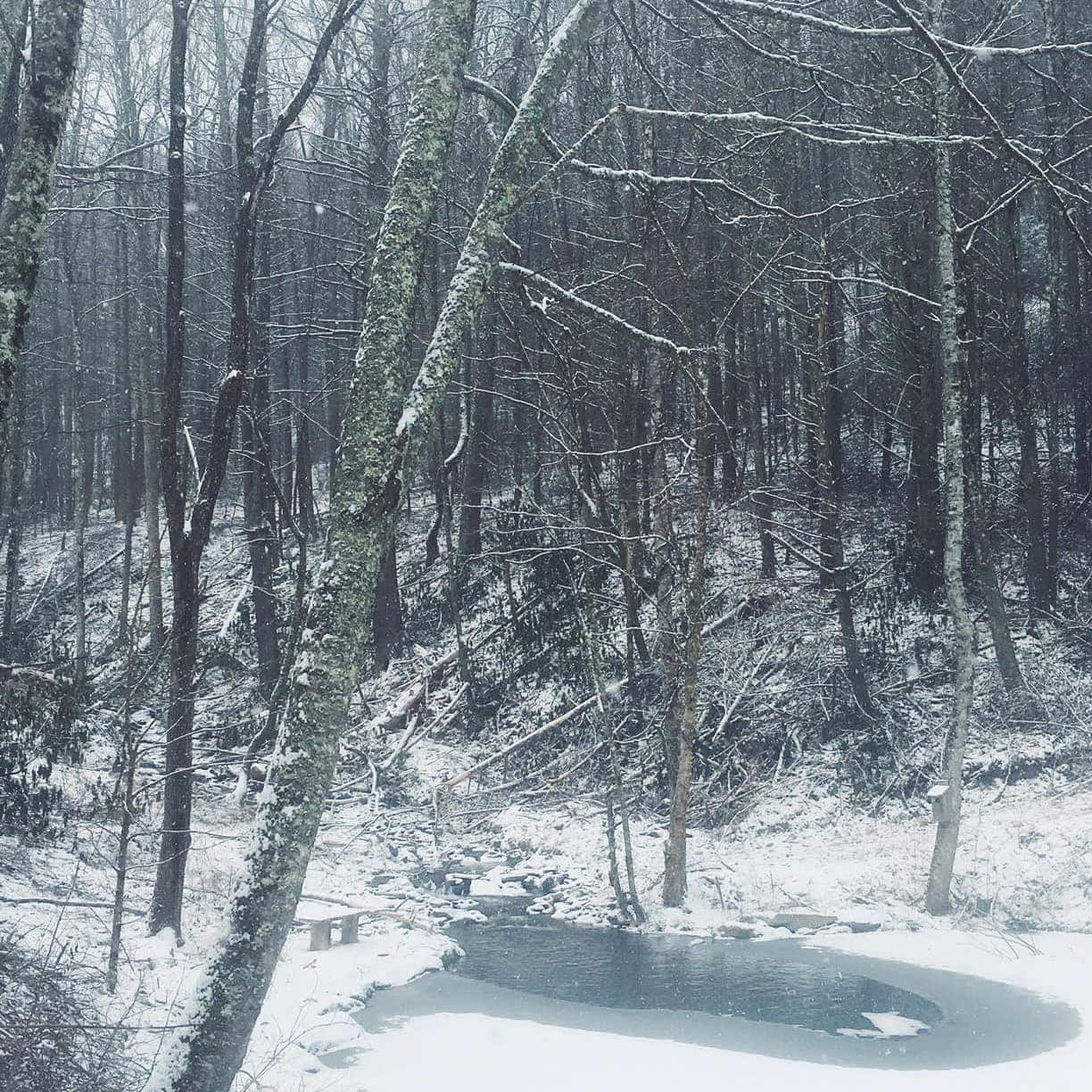 Dadirri Days - Asia Suler