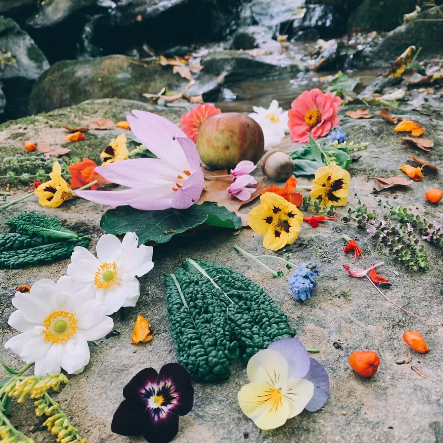 A Beginner's Guide to Water Magic - Asia Suler