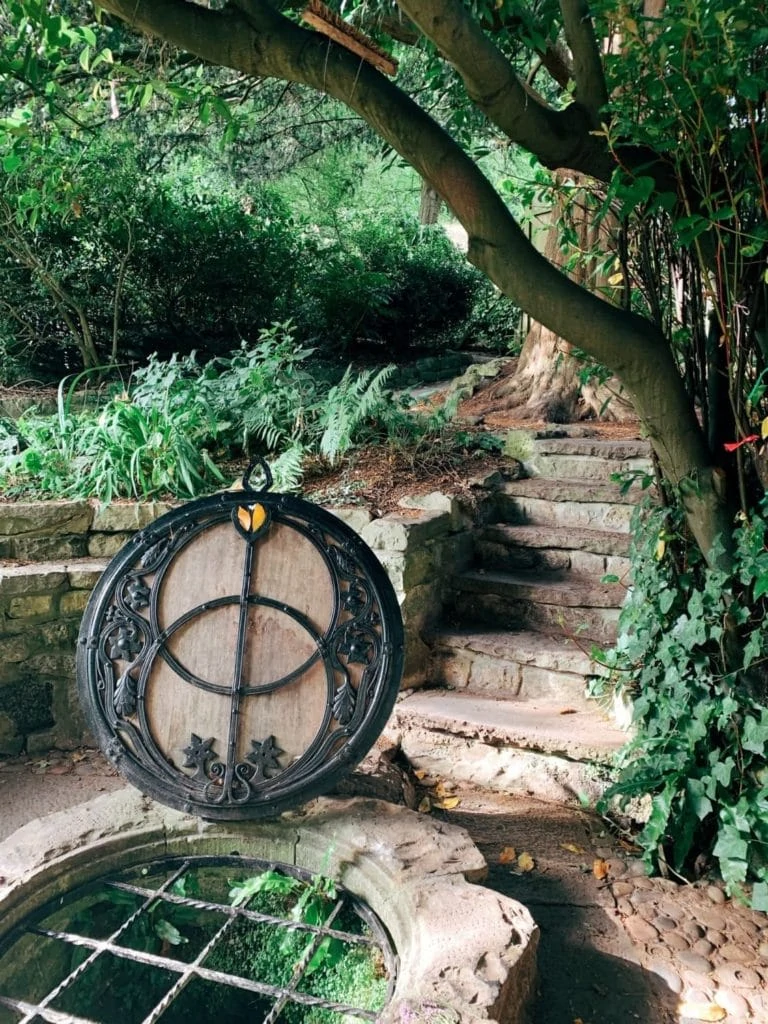 A Beginner's Guide to Water Magic - Asia Suler