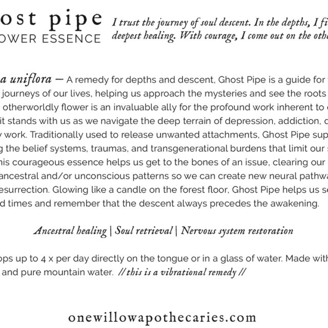Ghost Pipe Flower Essence - Asia Suler