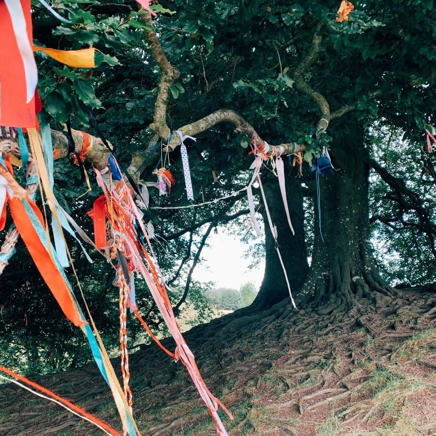 Tree Rituals for a Rich Life - Asia Suler