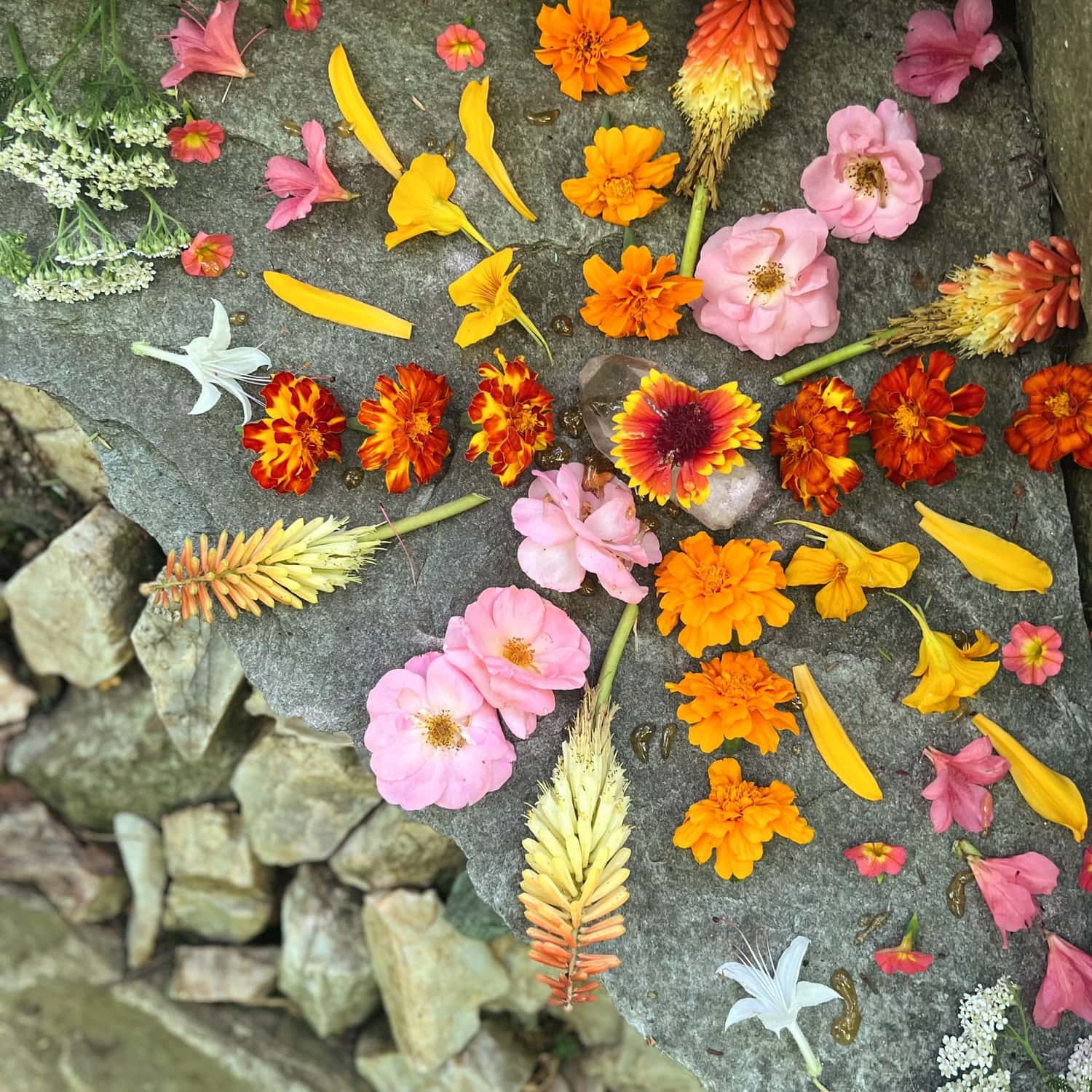 How to Work with Land Spirits - Asia Suler