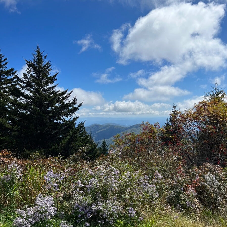 What your Ancestors Want you to Know - Asia Suler